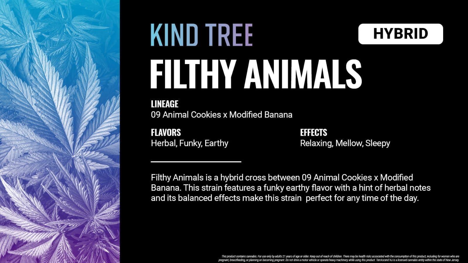 Filthy Animals - 3.5g | Buy Recreational Mount Holly, NJ | Fire And Oak